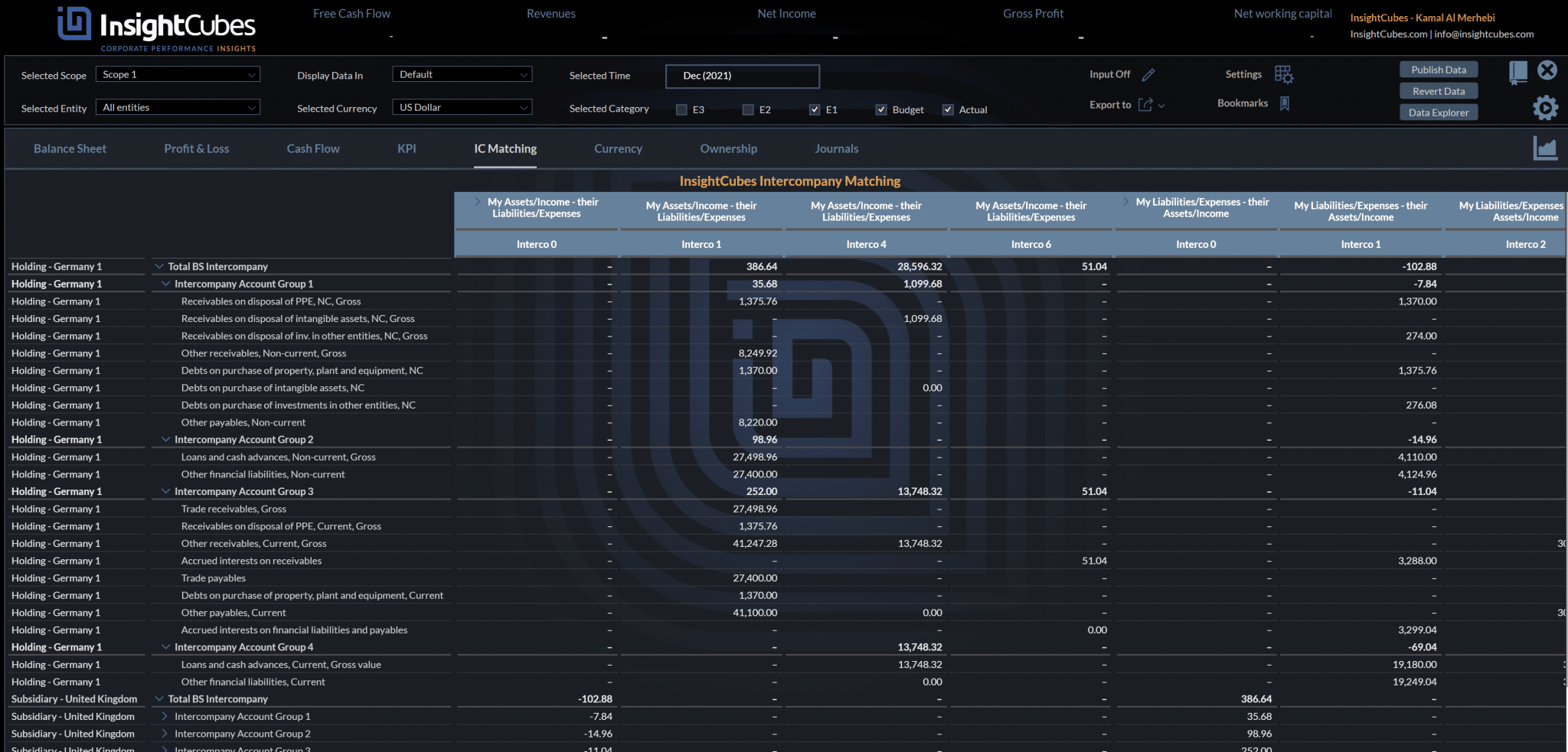 SAP Intercompany Matching